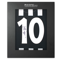 Alessandro Del Piero Back Signed Juventus 1994-95 Home Shirt With Fan ...