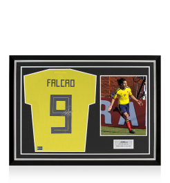 MATCH ISSUE Radamel Falcao Back Signed 2018-19 Colombia Home Shirt In ...