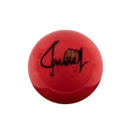 Ronnie O'Sullivan Signed Red Snooker Ball