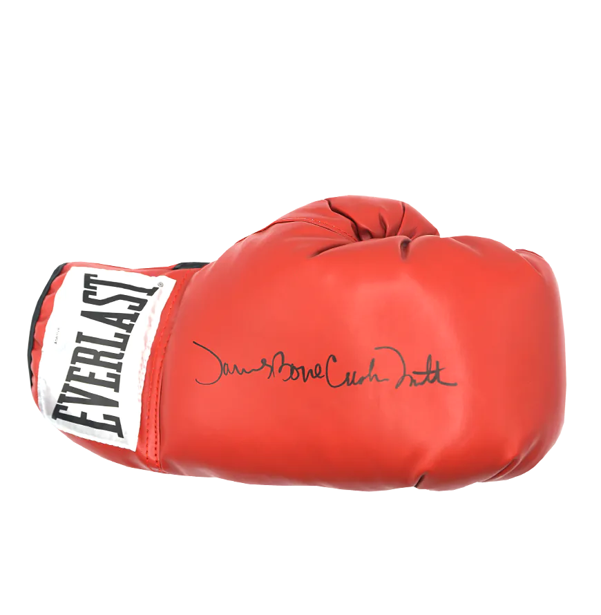 Everlast Logo Red Everlast MX Professional Fight Boxing Gloves
